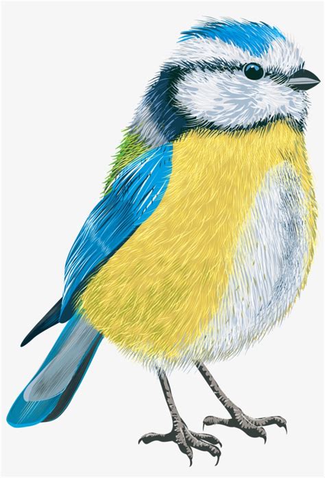 Фото Автор Soloveika На Яндекс Tit Vector Free Transparent PNG
