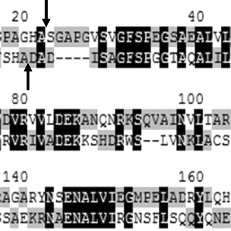 parallel sequence alignment of panuc 1 wp 039390287 1 and panuc 2 download scientific diagram