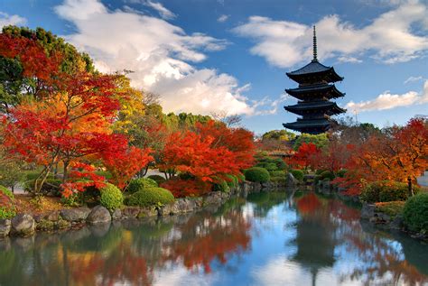 3 Top Places In Japan To See The Autumn Leaves Marin Magazine