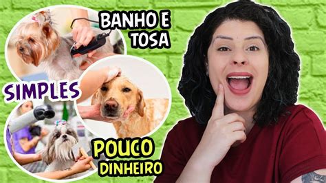 Como Montar Um BANHO E TOSA SIMPLES E Pouco Dinheiro YouTube