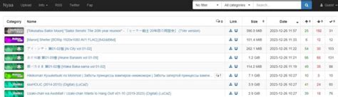 Las mejores páginas de torrent que funcionan en 2024