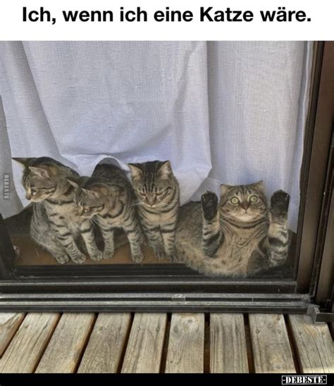Ich wenn ich eine Katze wäre DEBESTE de