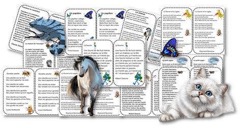 POESIES explorateurs de la biodiversité les animaux ReCreatisse