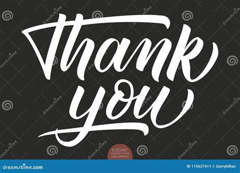 Vector Hand Drawn Lettering Thank You Elegant Modern Handwritten