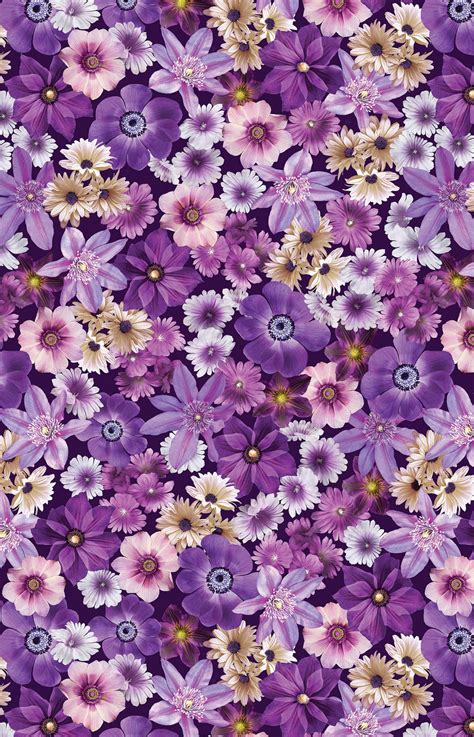 Spring Flowers Purple Wallpapers Wallpaper Cave
