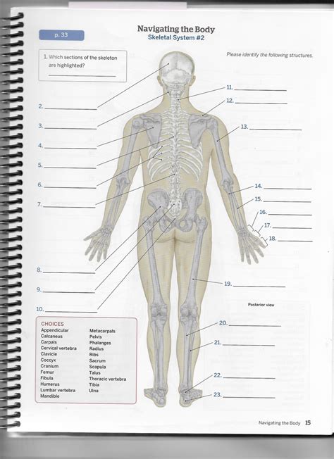 Chapter Navigating The Body Diagram Skeletal System Part