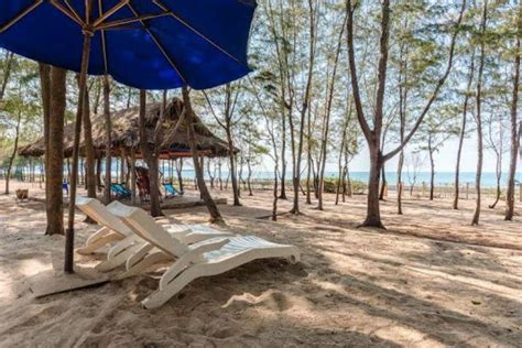 Top 22 địa điểm Cắm Trại Gần Sài Gòn Mà Bạn Nên Biết Campingviet vn