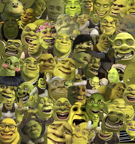 Shrek Onion Meme Wallpaper Infoupdate Org