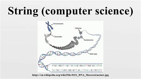 string computer science wikipedia string