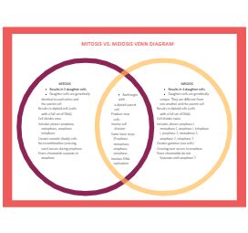 Venn Diagram Templates EdrawMax Free Editable