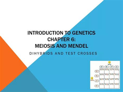 PPT Introduction To Genetics Chapter 6 Meiosis And Mendel PowerPoint