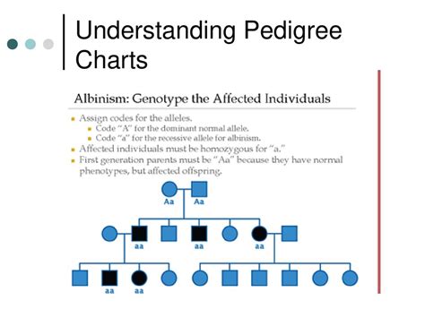 Test Cross How To Tell The Difference Between Homozygous And