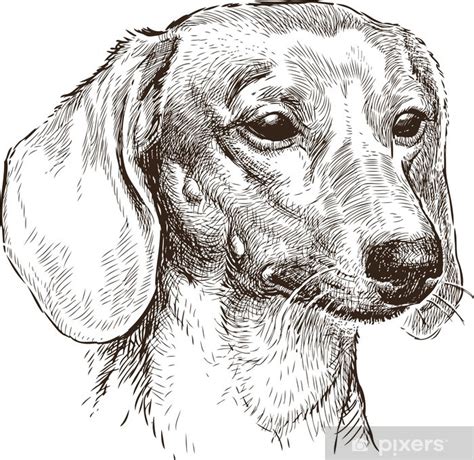 Vinilo Pixerstick Retrato De Un Perro Salchicha PIXERS ES