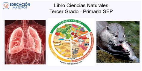 Libro Ciencias Naturales Tercer Grado Primaria Sep