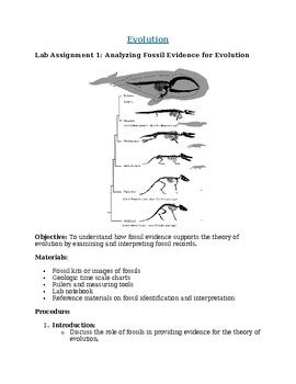 Evolution Labs By Clinet S Science Classroom TPT