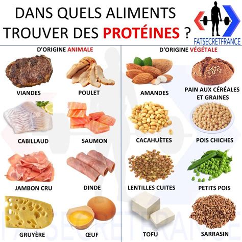 Les sources de protéines Chloée Nutrition Sans gluten Sans lactose