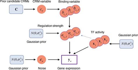 bayesian inference of gene regulatory network intechopen