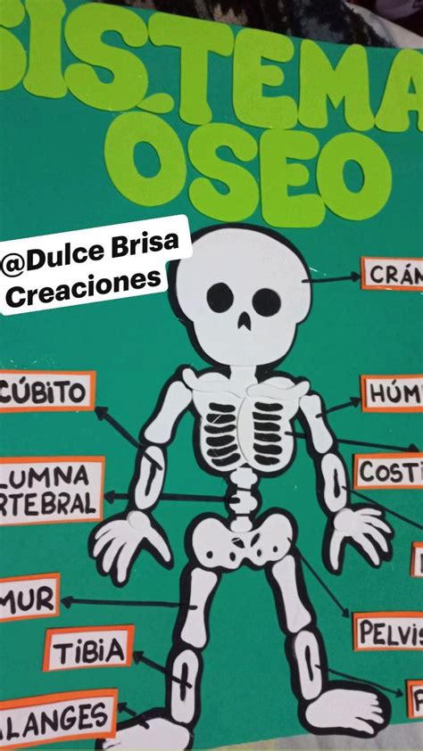 Dulce Brisa Creaciones Sistemas