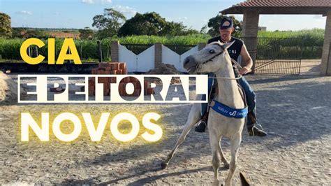 MONTEI NA MINHA EGUA A CIA E PEITORAL NOVO Mandei Salve Para Os