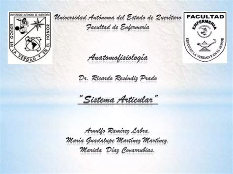 Sistema Articular Actual PPT