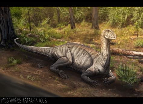 Betos Garcia Commissions Pending On Twitter Rt Inkasaur