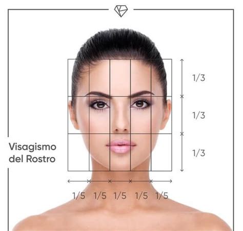 Impotencia Ocupar Deliberar Partes De La Cara Para Maquillar