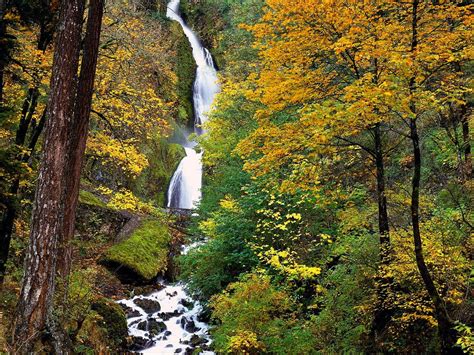 Fondo de escritorio Cascada Naturaleza Otoño Descargar Imagen