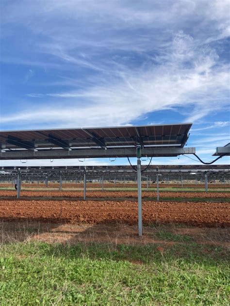Agrovoltaica La Suma De Agricultura Y Energía Solar