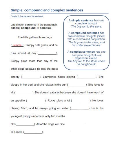 Compound Complex Sentence 8 Examples How To Write