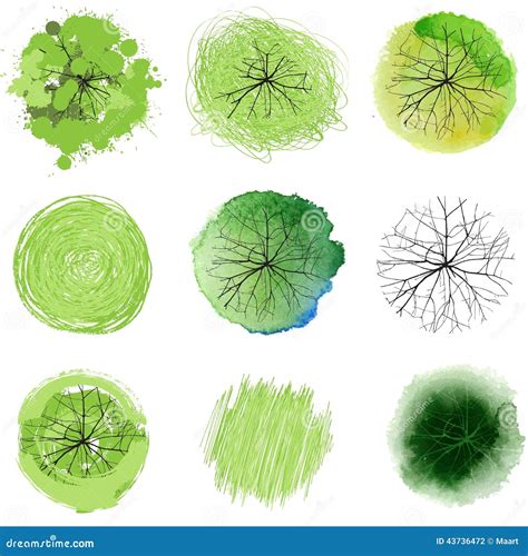 Alberi Disegnati A Mano Illustrazione Di Stock Illustrazione Di Vista