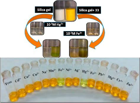 Naked Eye Detection Of Fe 3 And Hg 2 Upon Complexation With