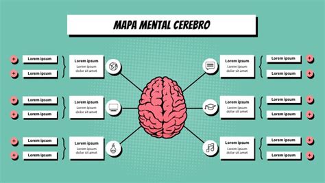 Top Imagen Cerebro Mapa Mental Viaterra Mx