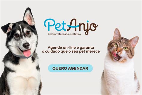 Pet Anjo Cachoeirinha O Cuidado Que O Seu Pet Merece Blog Da Pet Anjo