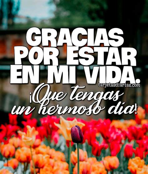 Lista 102 Foto Gracias Por Llegar Ami Vida Eres Mi Amor Actualizar