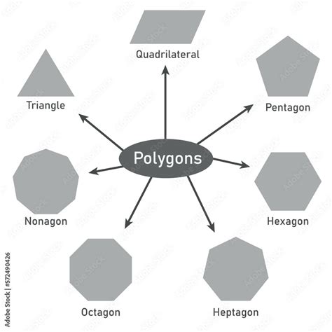 Types Of Regular Polygons Triangle Quadrilateral Pentagon Hexagon