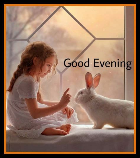 Nice Evening Images Good Morning Images Quotes Wishes Messages