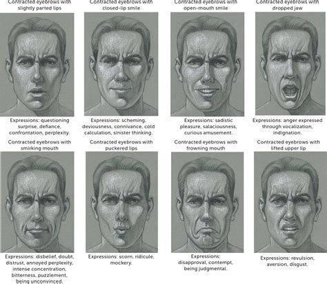 Facial Muscles And Expressions Classic Human Anatomy In Motion The
