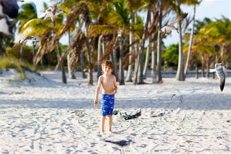 Gar On Actif Adorable De Petit Enfant Ayant L Amusement Sur Miami Beach