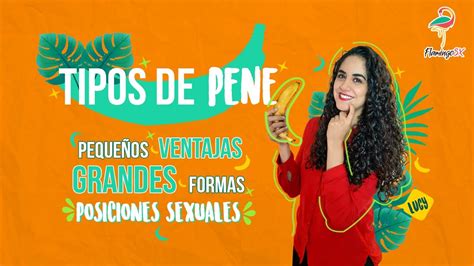 Tipos de Penes TAMAÑOS FORMAS Y POSICIONES SXUALES YouTube