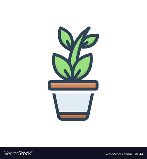 Plant Royalty Free Vector Image VectorStock
