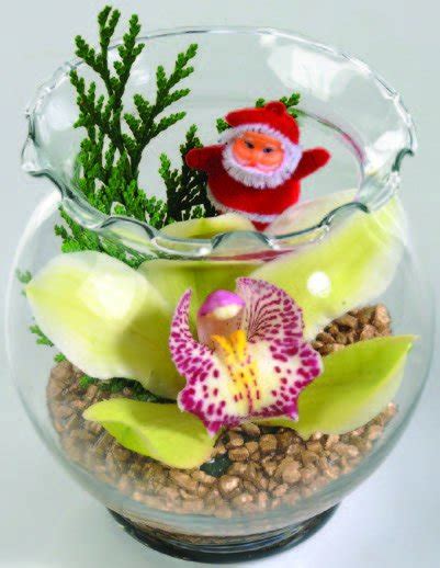 Cvijet Orhideje Cymbidium U Staklenoj Kugli Sa Dekoracijom Akcija