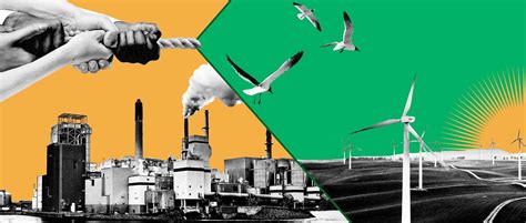 Día Internacional Contra el Cambio Climático cómo podemos ayudar