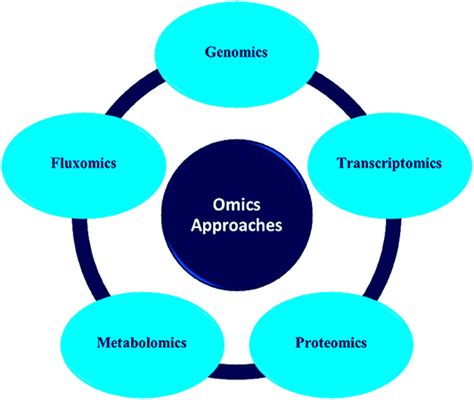 Frontiers Microbial Biodiversity And Bioremediation Assessment