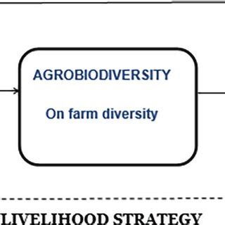 Conceptual Framework Of Relationship Between Livelihood Asset