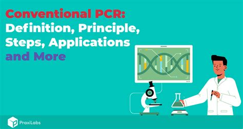What Are The Three Basic Steps Of Conventional PCR