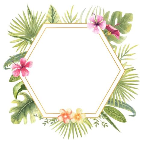 Illustration Vectorielle D Un Cadre Hexagonal Avec Des Plantes
