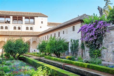 Jardines en el patio de la acequía del palacio de el Generalife siglo