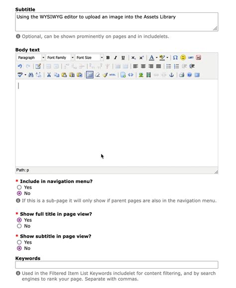 the wysiwyg editor voice documentation