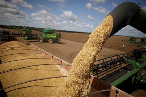 Bayer anuncia nova tecnologia de soja transgênica no Brasil