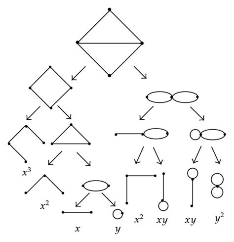 an example of computing the tutte polynomial of a graphic matroid using download scientific